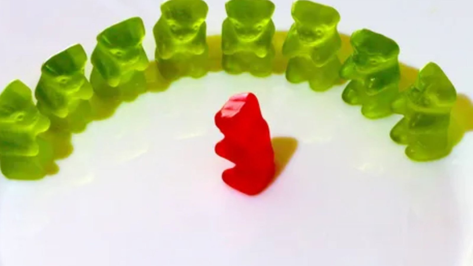 How to Use Garden Gummy for Different Types of Plants - paperandhomes.com